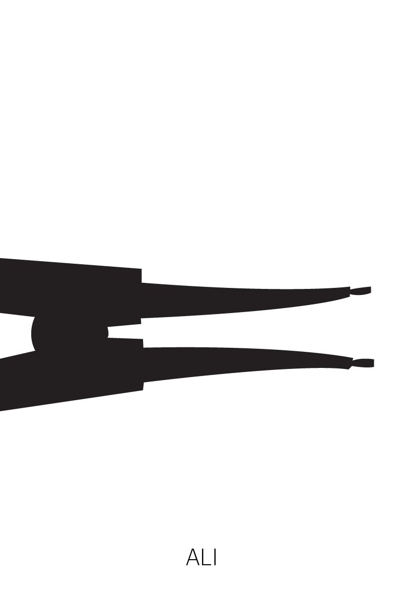 Ana Rita Pires – Imaginalário